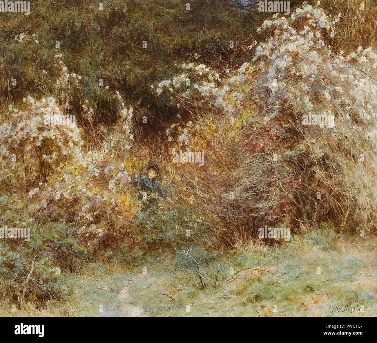 Allingham Helen - Travellers Joy Stock Photo - Alamy