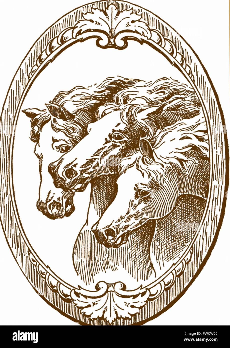 Vintage Race Horse Etching High Resolution Stock Photography and Images ...