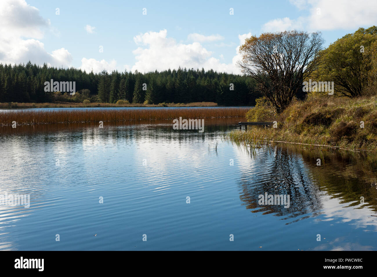 Scenic view on Meenameen lake in Lough Navar Forest in Co. Fermanagh ...