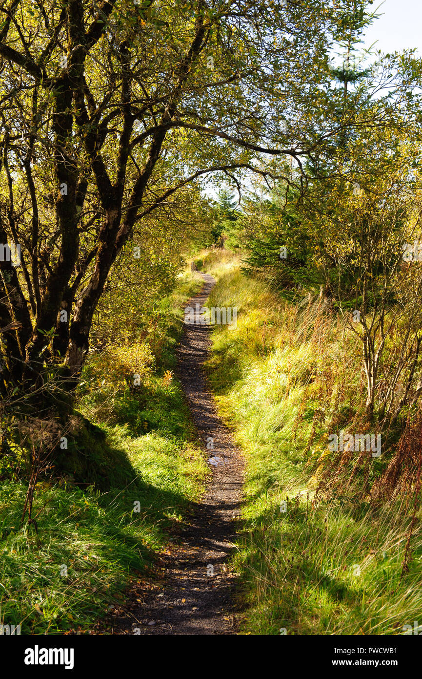 Ulster way at lough Meenameen, Co Fermanagh, Northern Ireland Stock ...
