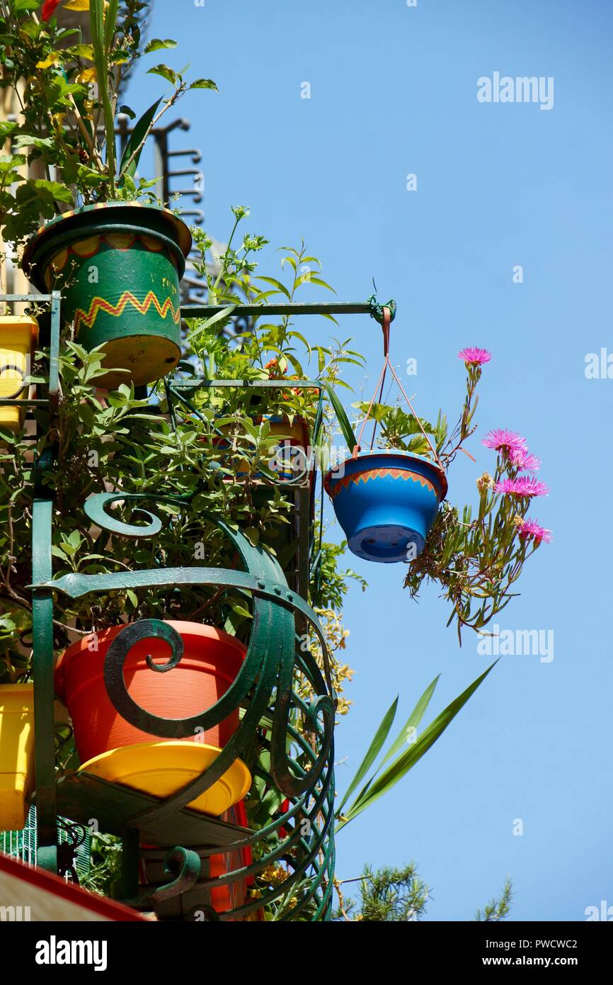 Flowers & plant decorate a building Stock Photo - Alamy
