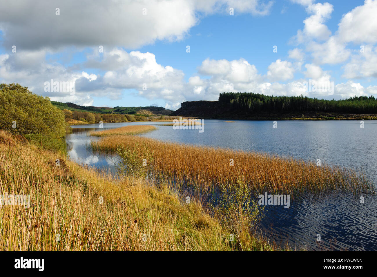 Northen ireland hi-res stock photography and images - Alamy