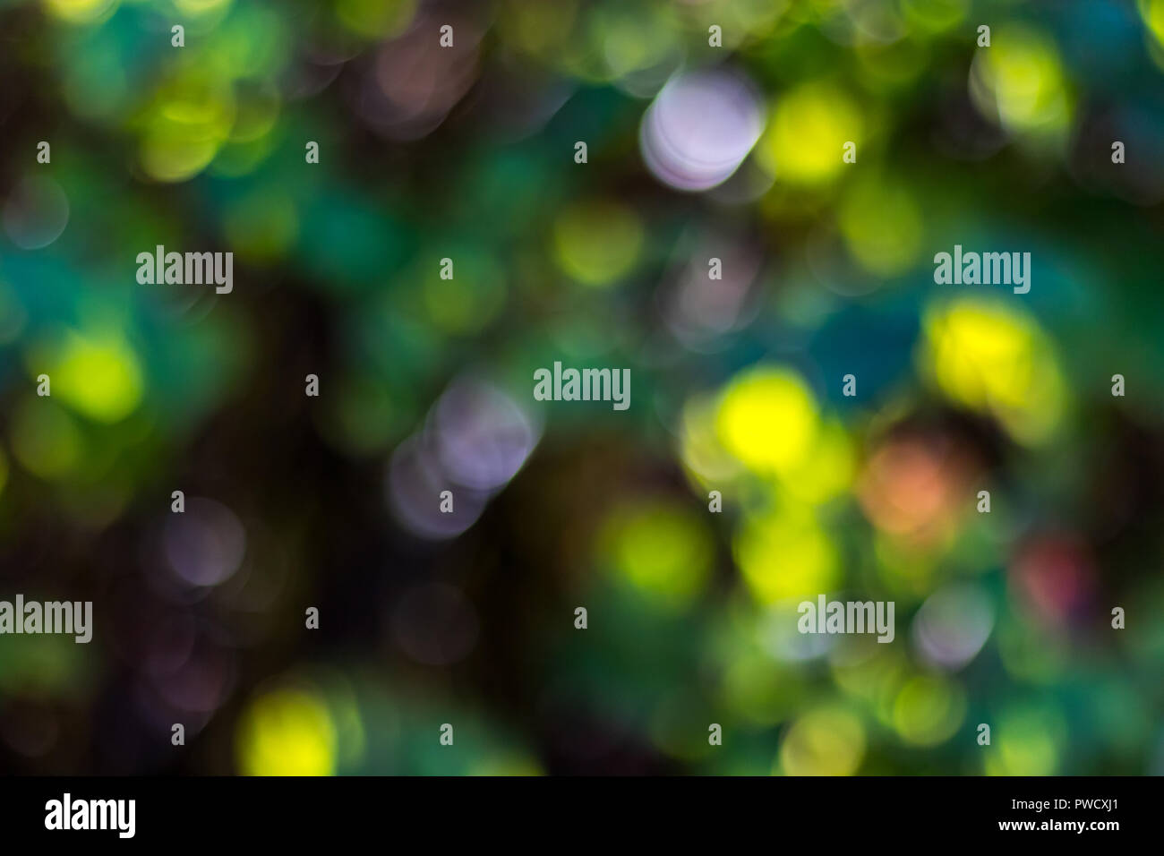 Bokeh green background hi-res stock photography and images - Alamy