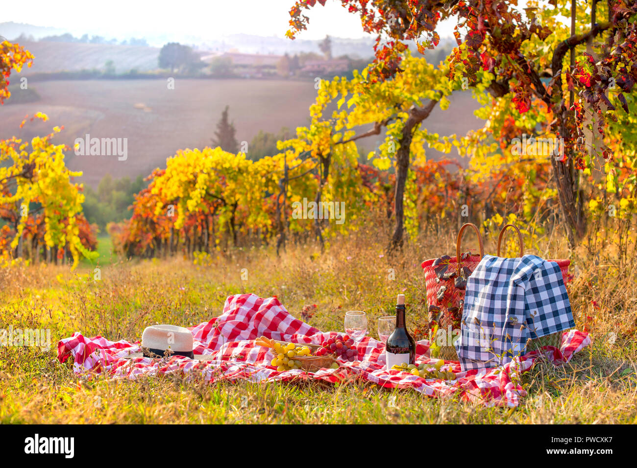 Picnic at sunset in the hills of Italy. Vineyards and open nature in ...