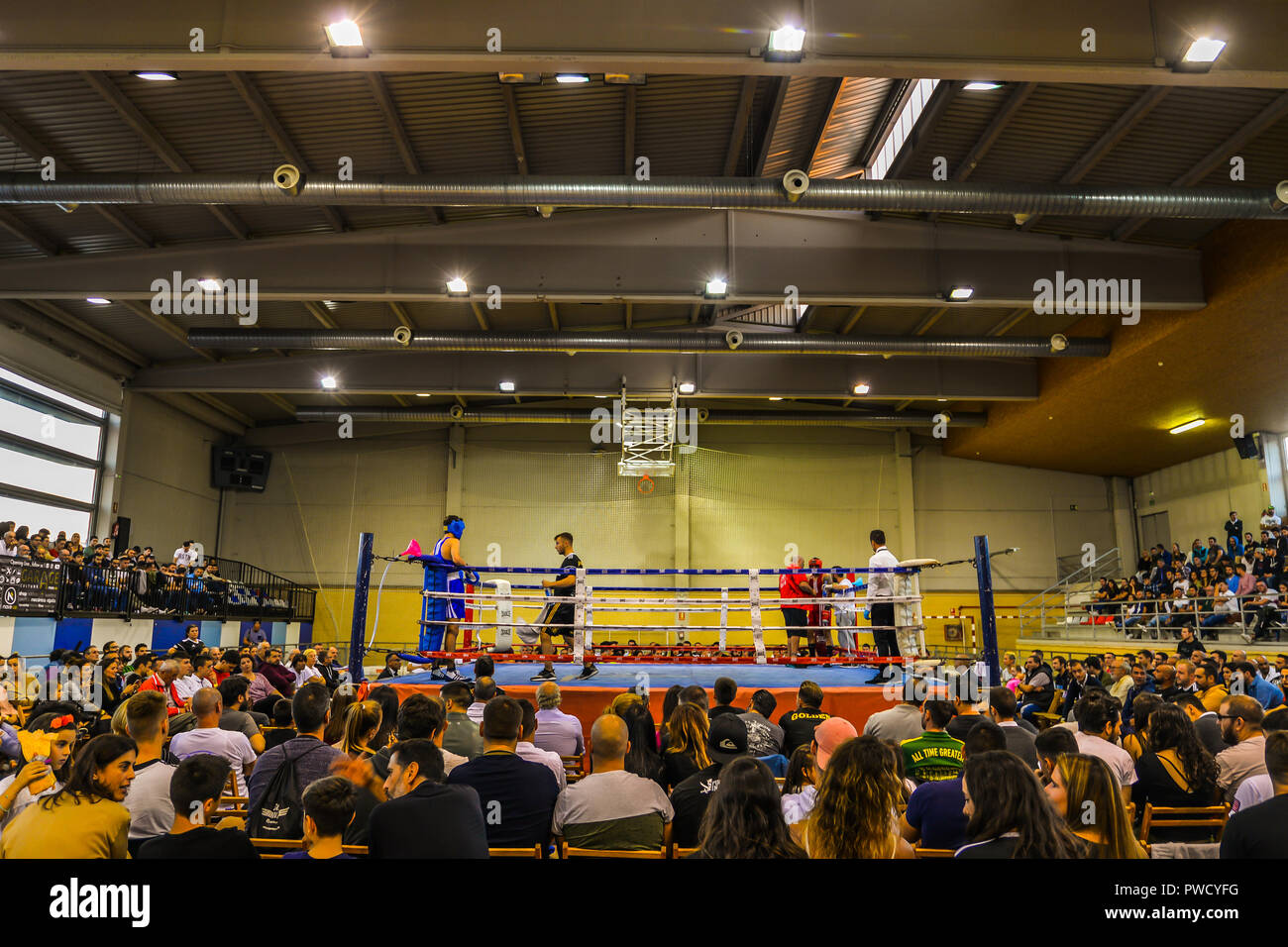 Challenge competition boxing ring boxing glove action hi-res stock ...