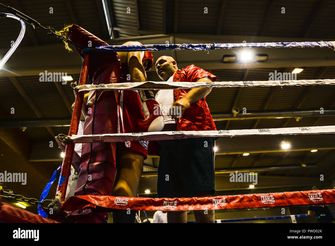 Boxing ring boxing glove action crowd hi-res stock photography and ...