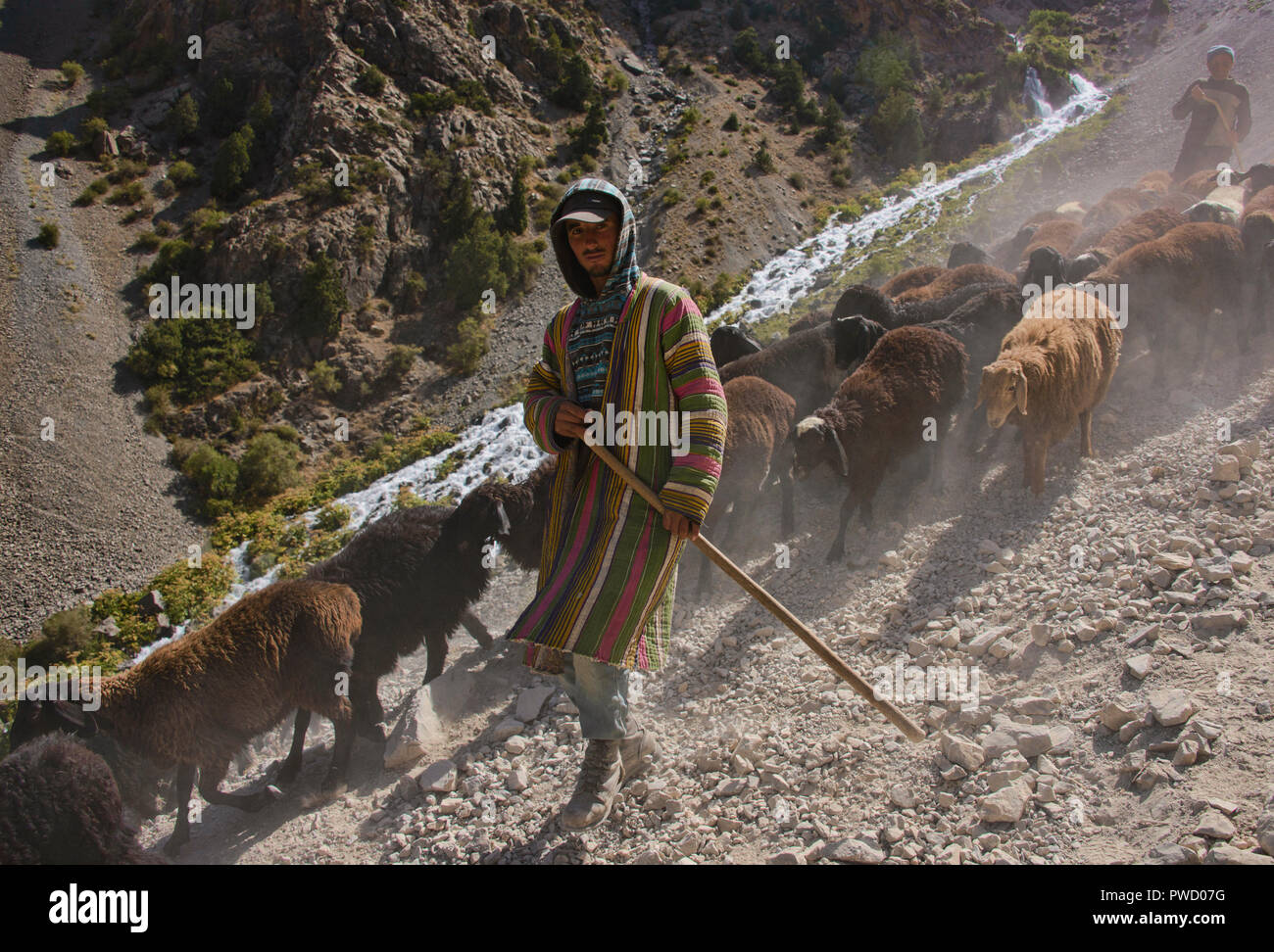 Tajikistan Animals High Resolution Stock Photography and Images - Alamy