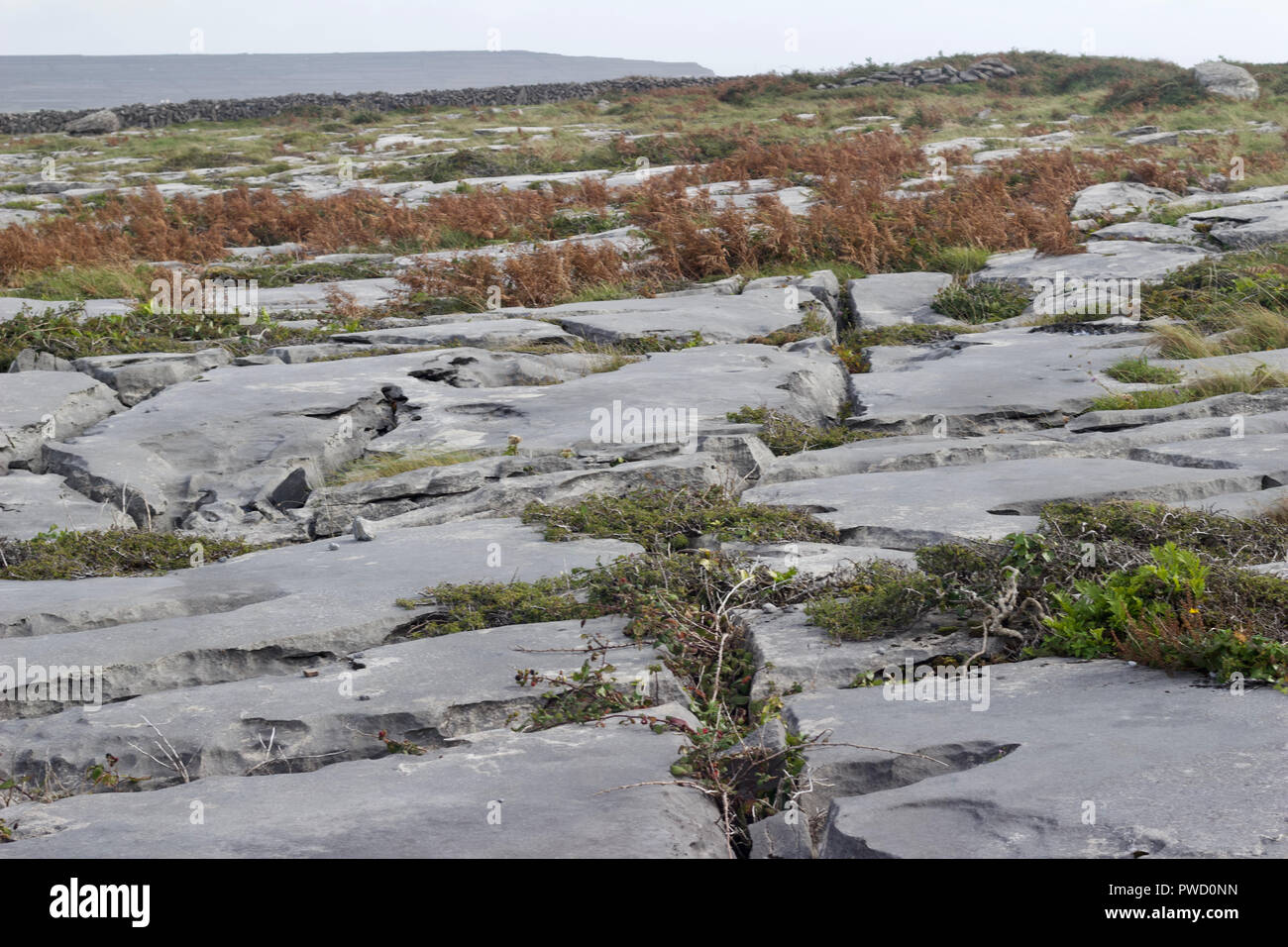 Geology of the Aran Islands' rugged terrain from karstic limestone ...