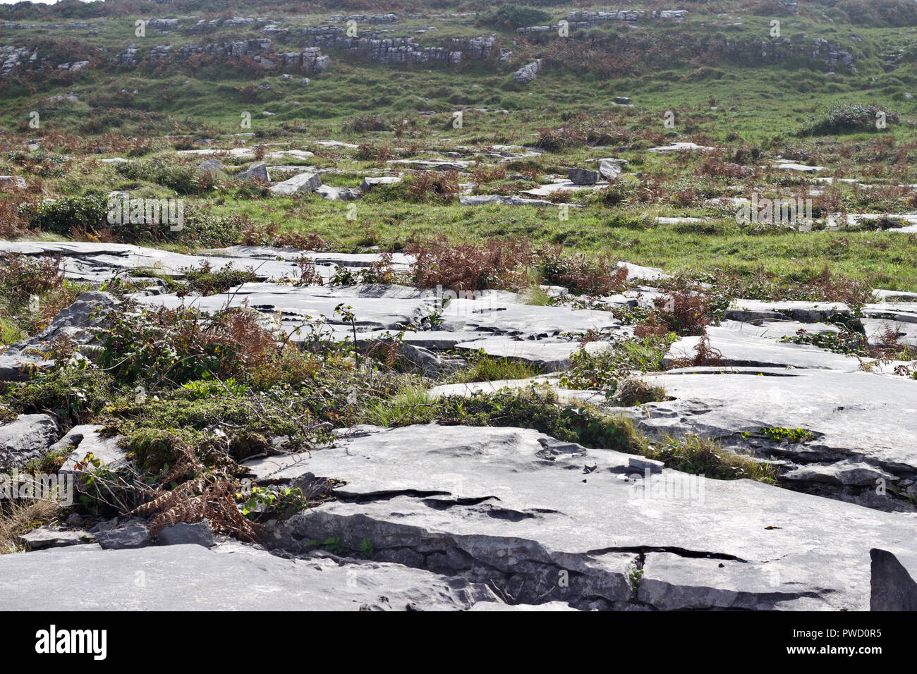 Geology of the Aran Islands' rugged terrain from karstic limestone ...
