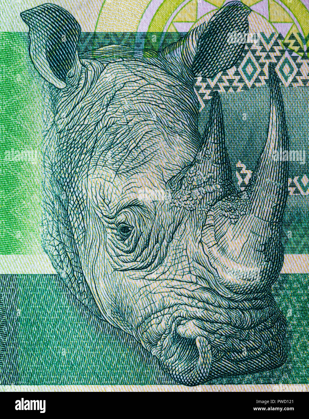 South african ten rand note hi-res stock photography and images - Alamy