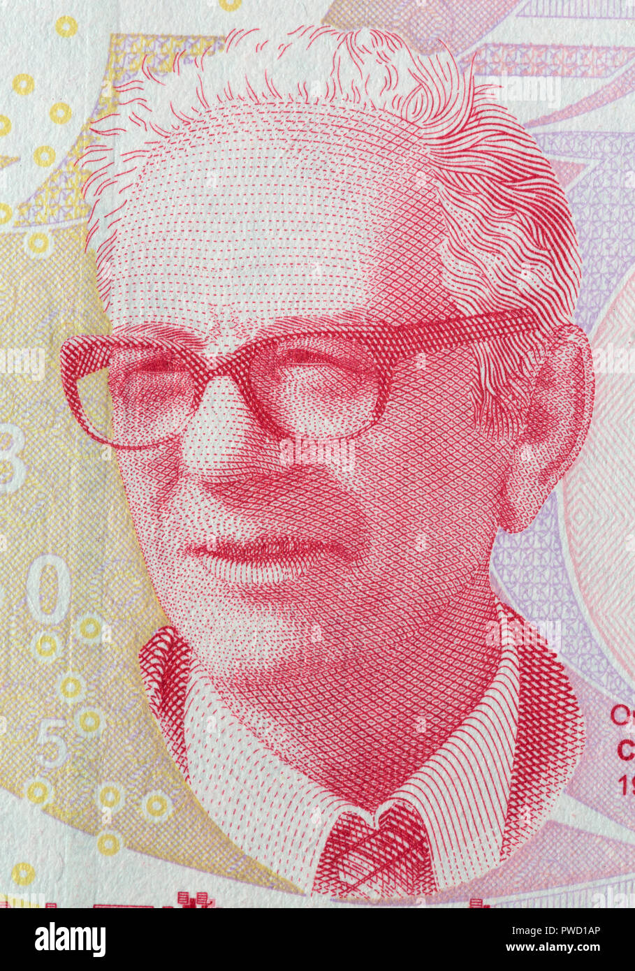 Portrait of Cahit Arf from 10 lira banknote, Turkey, 2009 Stock Photo ...