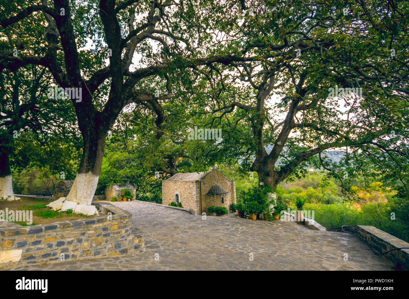 Beautiful high country trees hi-res stock photography and images - Alamy