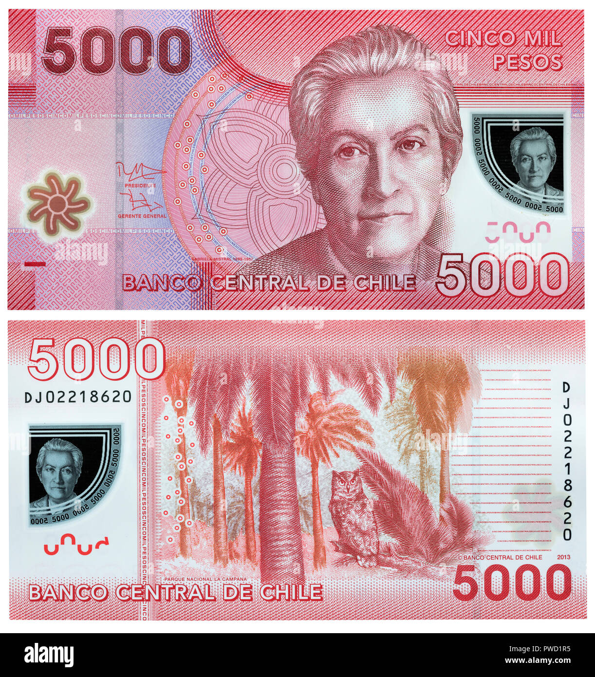 5000 pesos banknote, Gabriela Mistral, La Campana national park, Chile ...