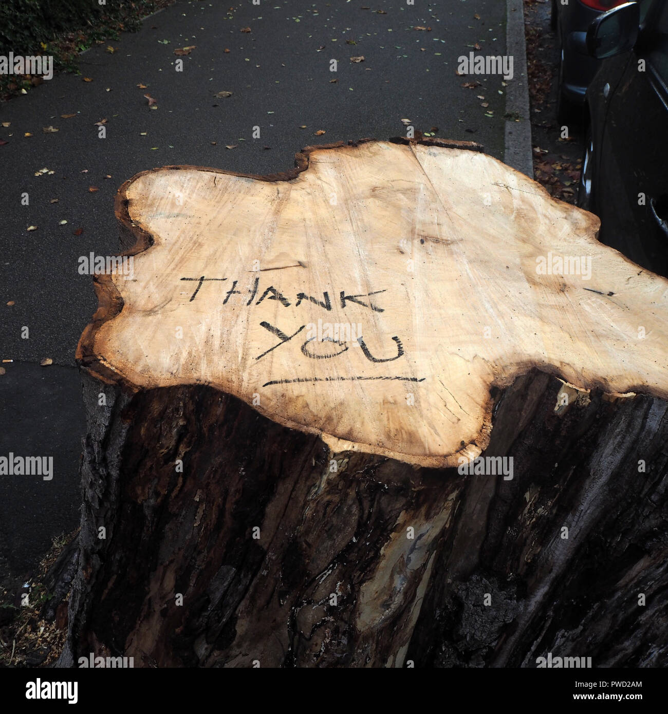 thank you on a tree stump Stock Photo - Alamy