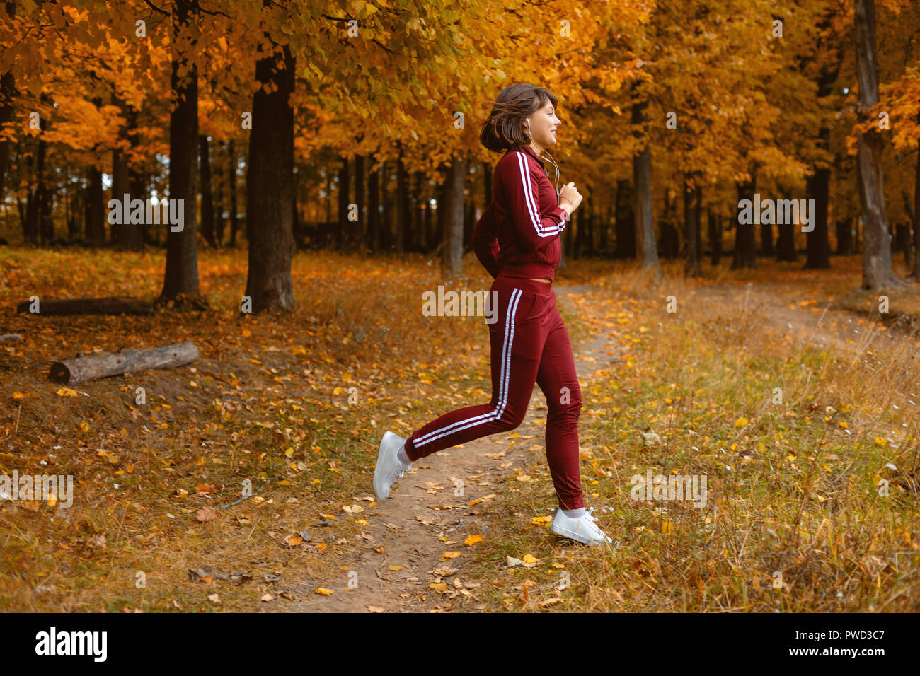 Portrait of young woman in fall forest. Brunette woman in autumn park ...