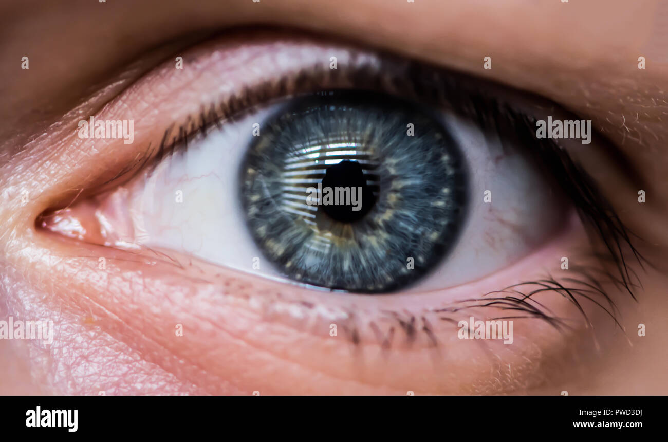 The reflection in the blue eye of the female without any make-up Stock ...