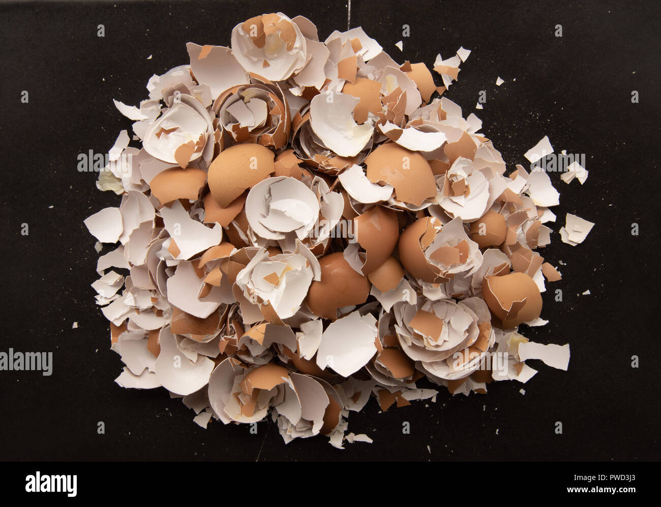 Crushed shells hi-res stock photography and images - Alamy