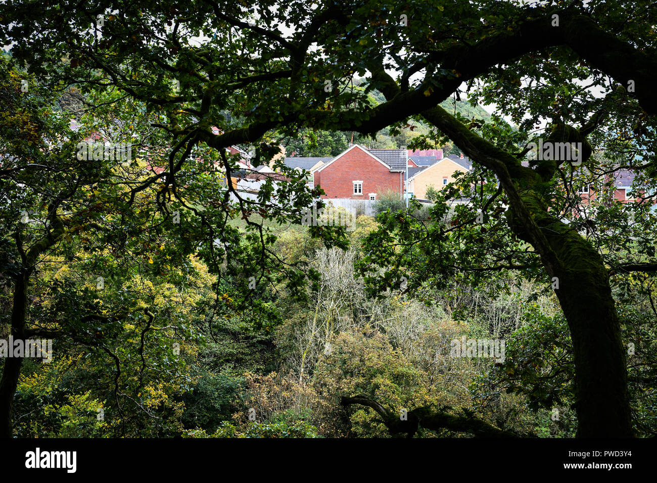 Surrounded by green trees hi-res stock photography and images - Alamy