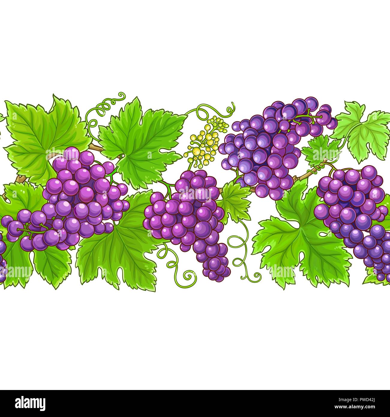 Horizontal leaf vine Stock Vector Images - Alamy