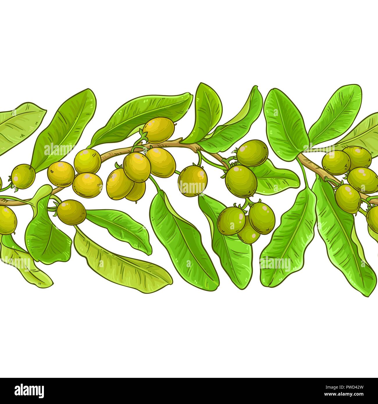 shea vector pattern on white background Stock Vector Image & Art - Alamy