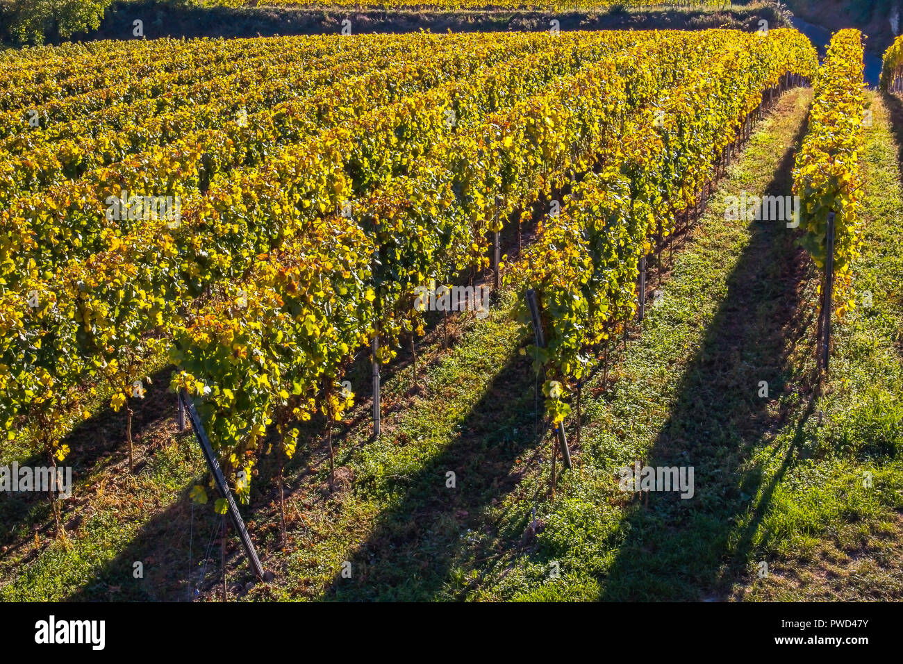 Loess plateau terrace hi-res stock photography and images - Alamy