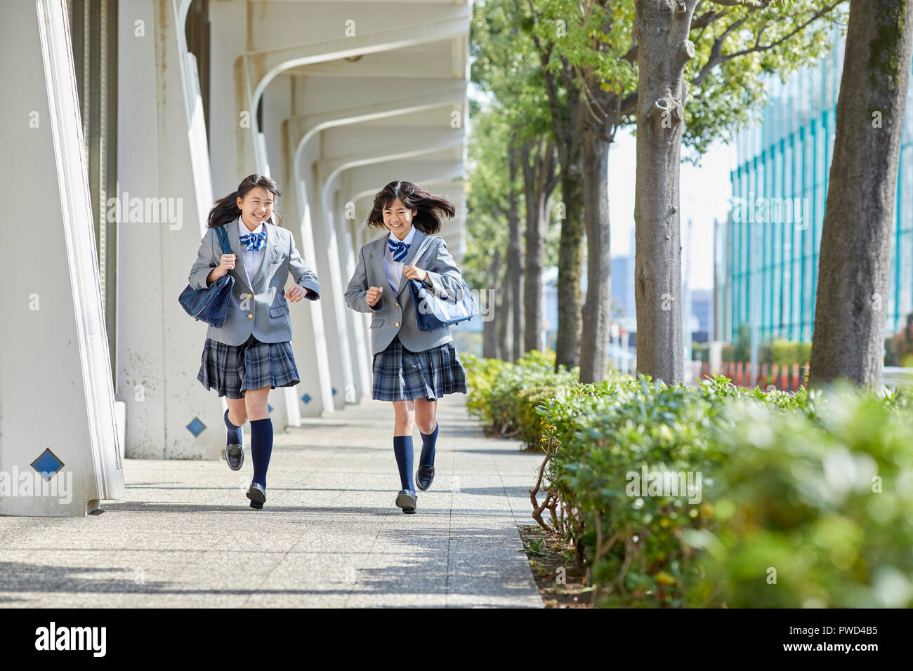 Japanese junior high students Stock Photo - Alamy