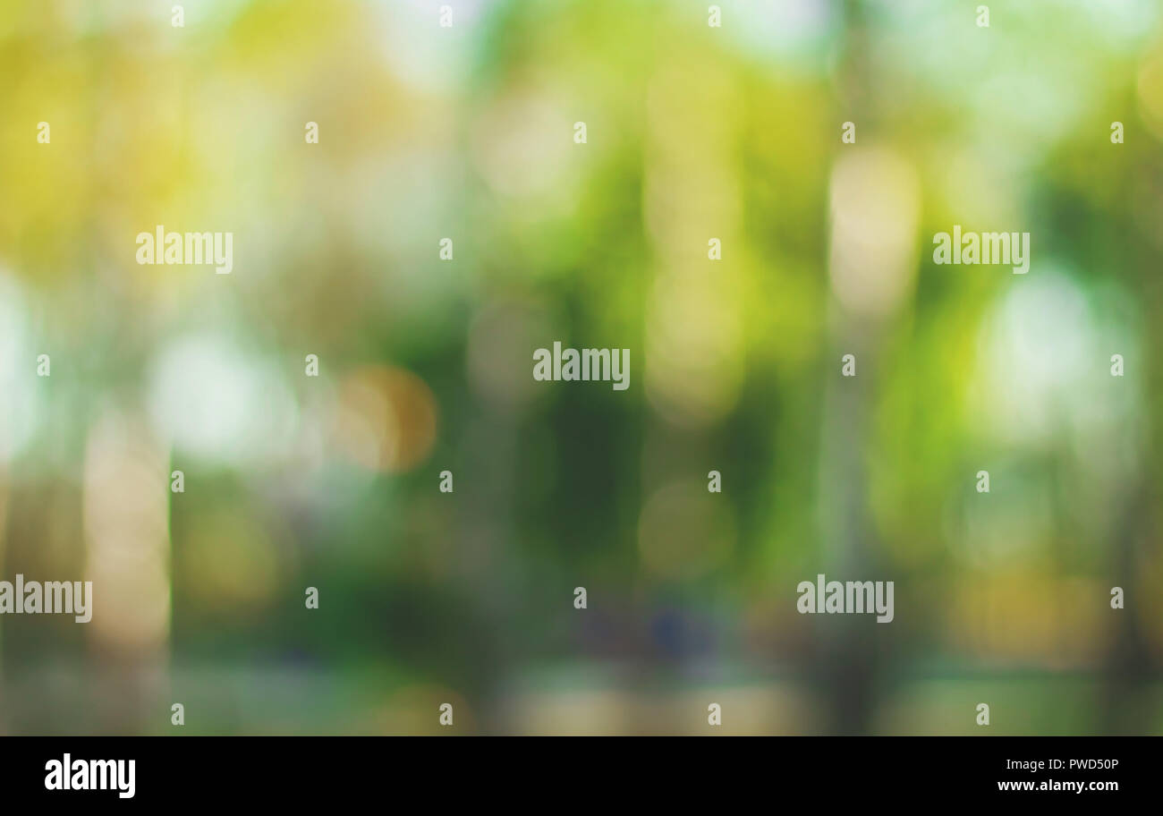 Blurry nature wallpaper. Forest bokeh background. Green defocused ...
