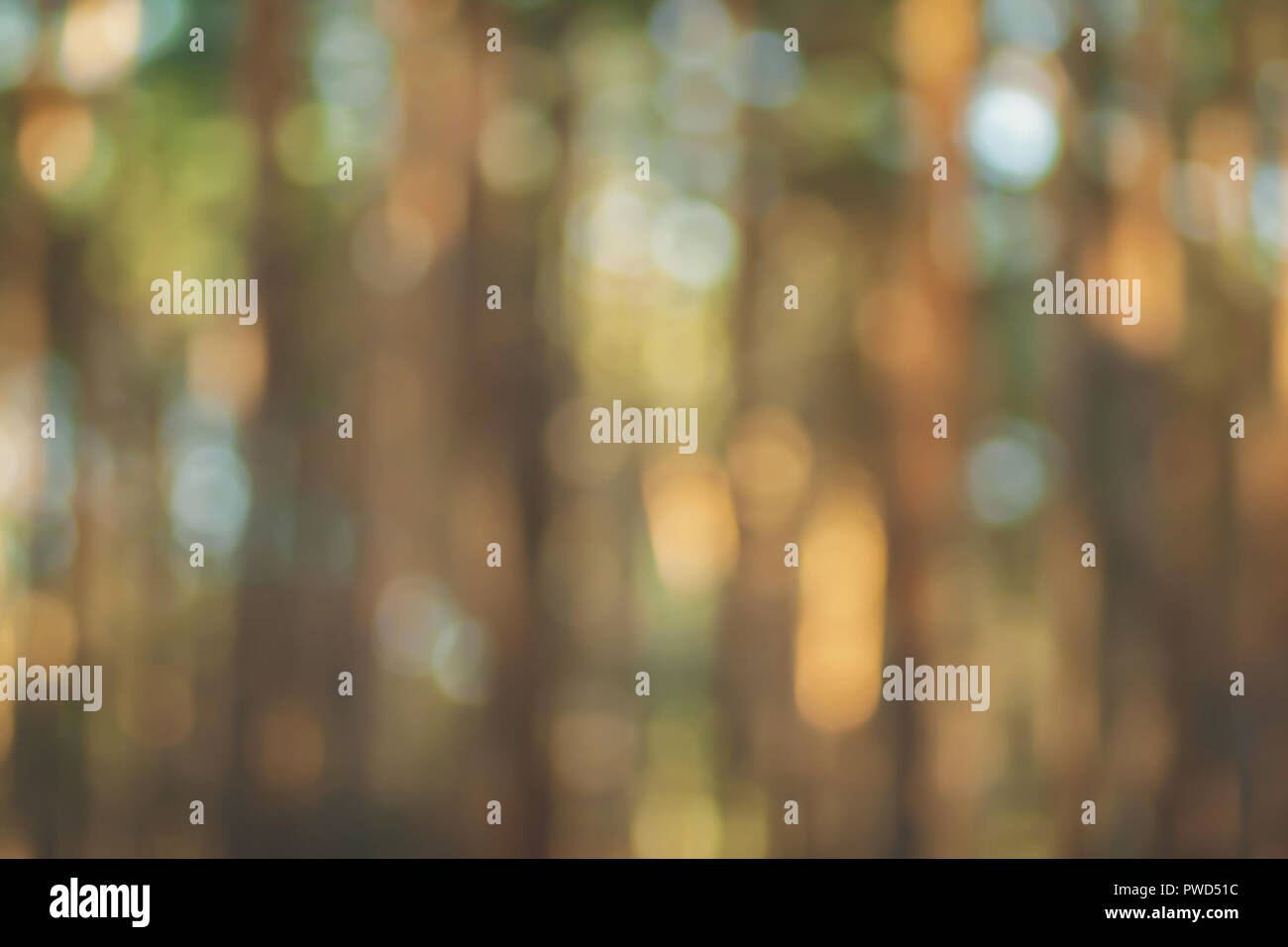 Blurry nature wallpaper. Forest bokeh background. Green defocused ...
