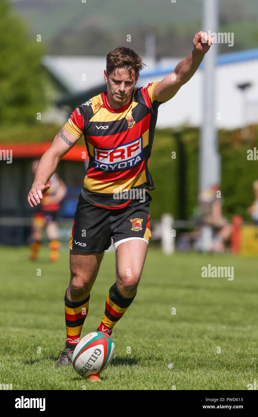 Image of rugby player taking a place kick in sunlight Stock Photo - Alamy