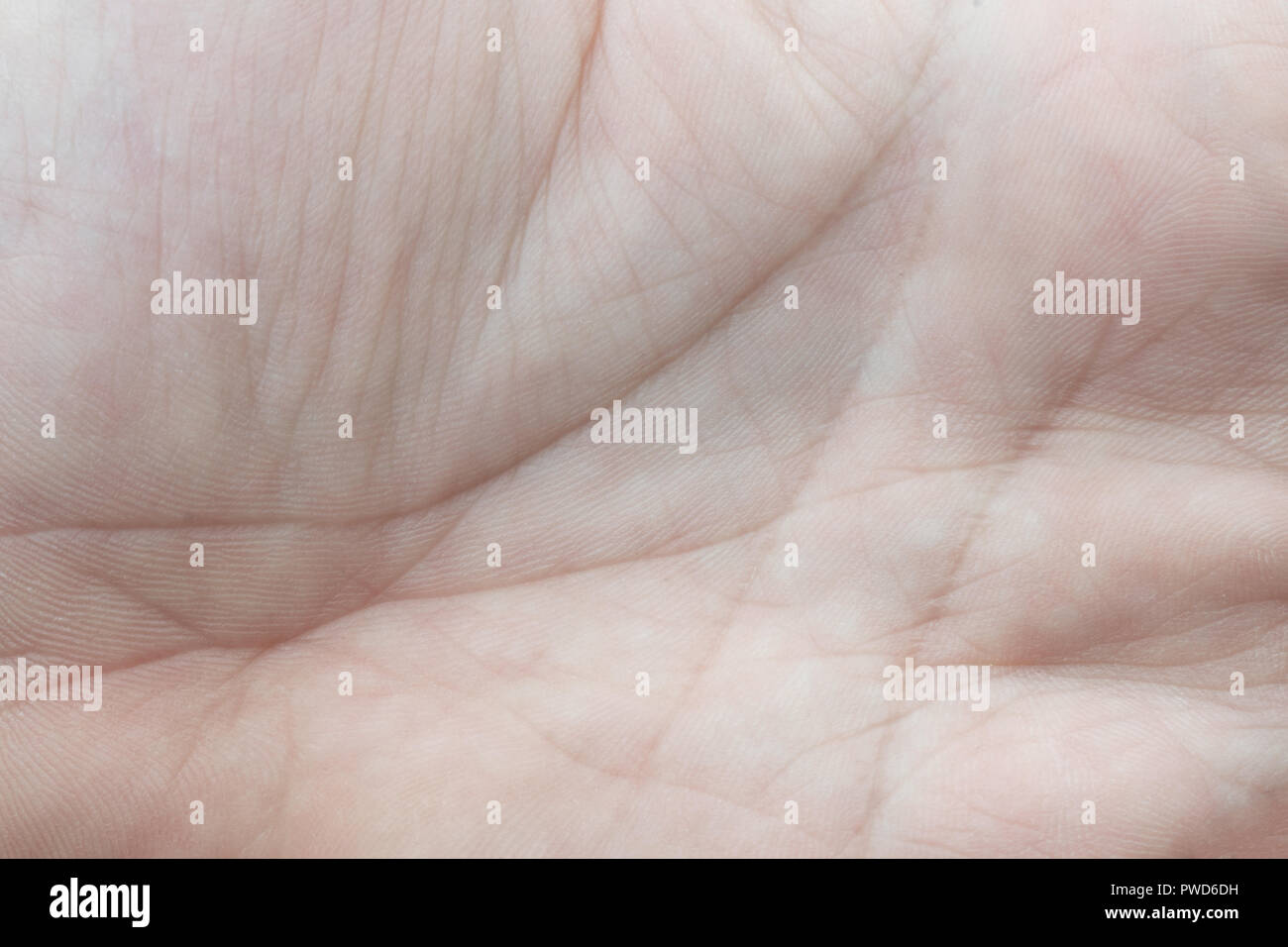 lines of the human palm Stock Photo - Alamy