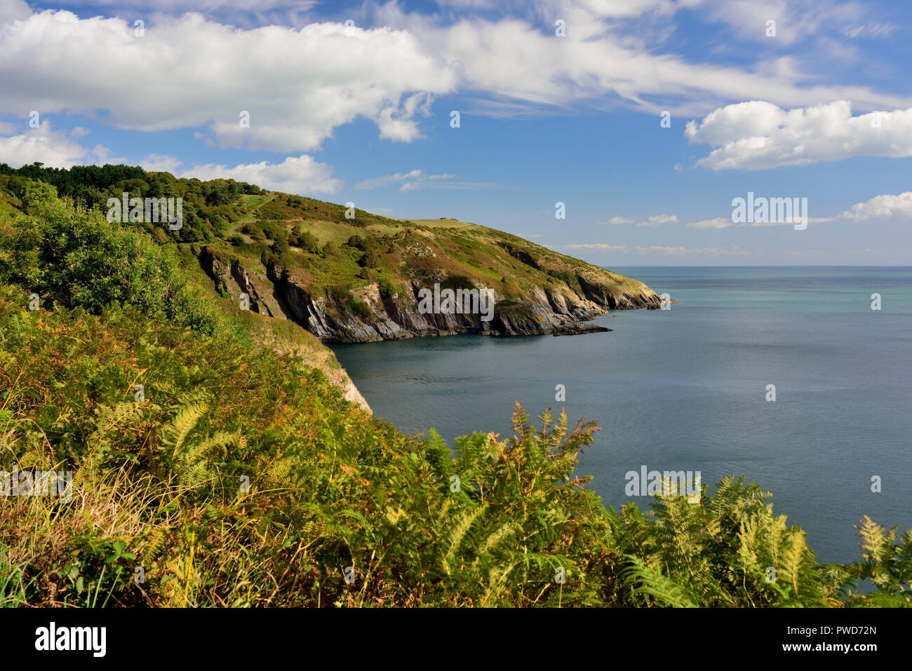 Pudcombe Cove, South Devon Stock Photo - Alamy