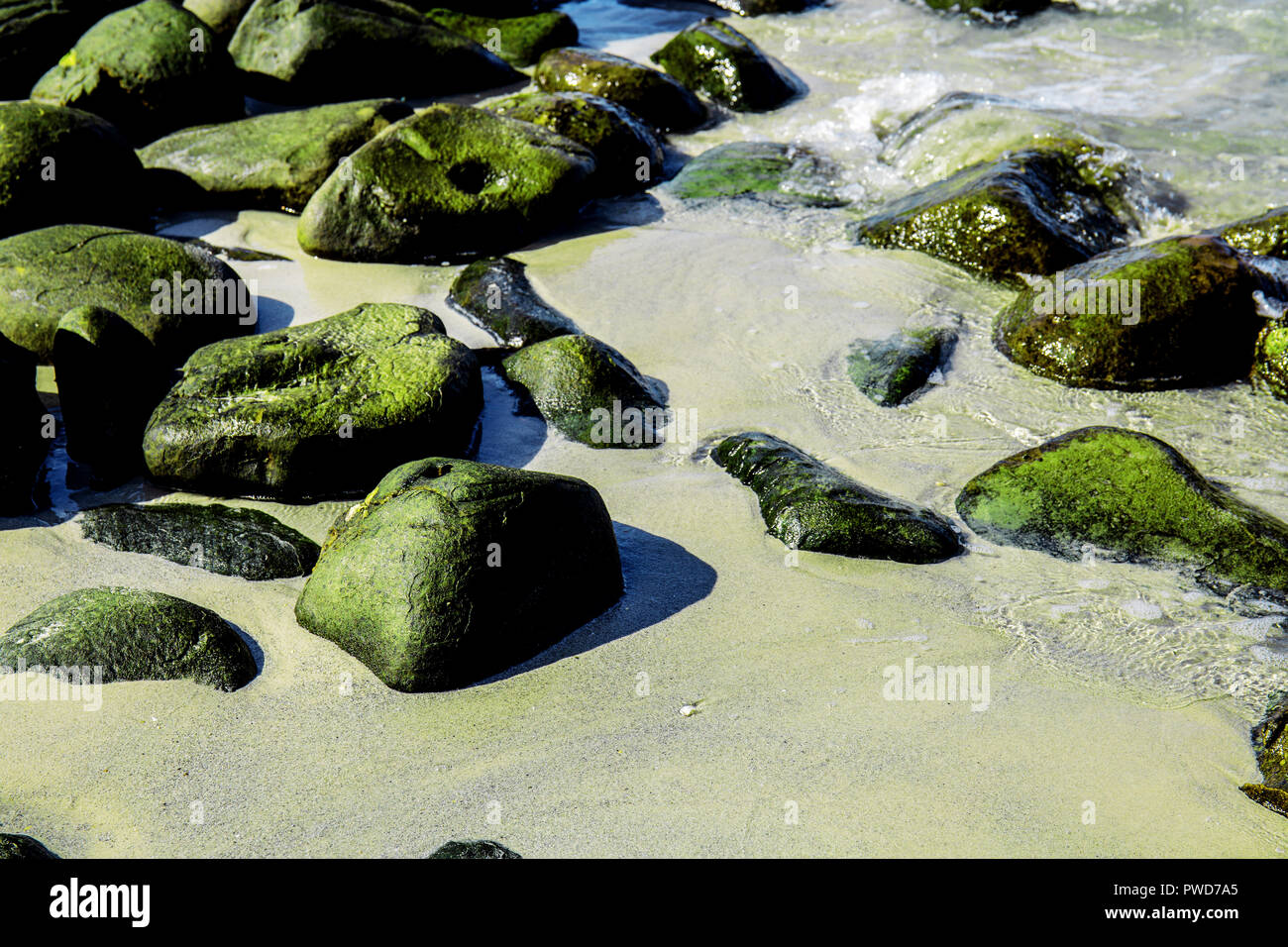 Wet sand with rocks and dirt hi-res stock photography and images - Alamy
