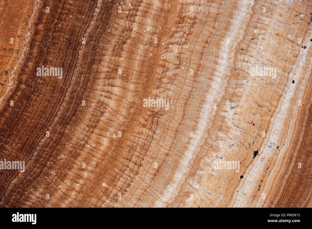 The color of stone pattern is beautiful with texture background Stock ...