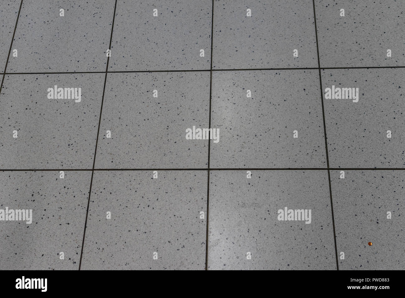 White tiles on display Stock Photo - Alamy