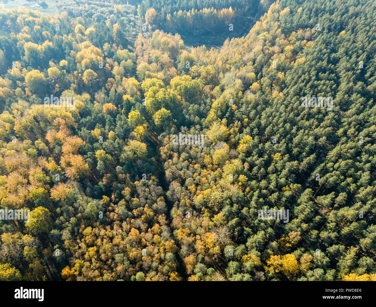 drone image. aerial view of rural area with fields and forests in ...