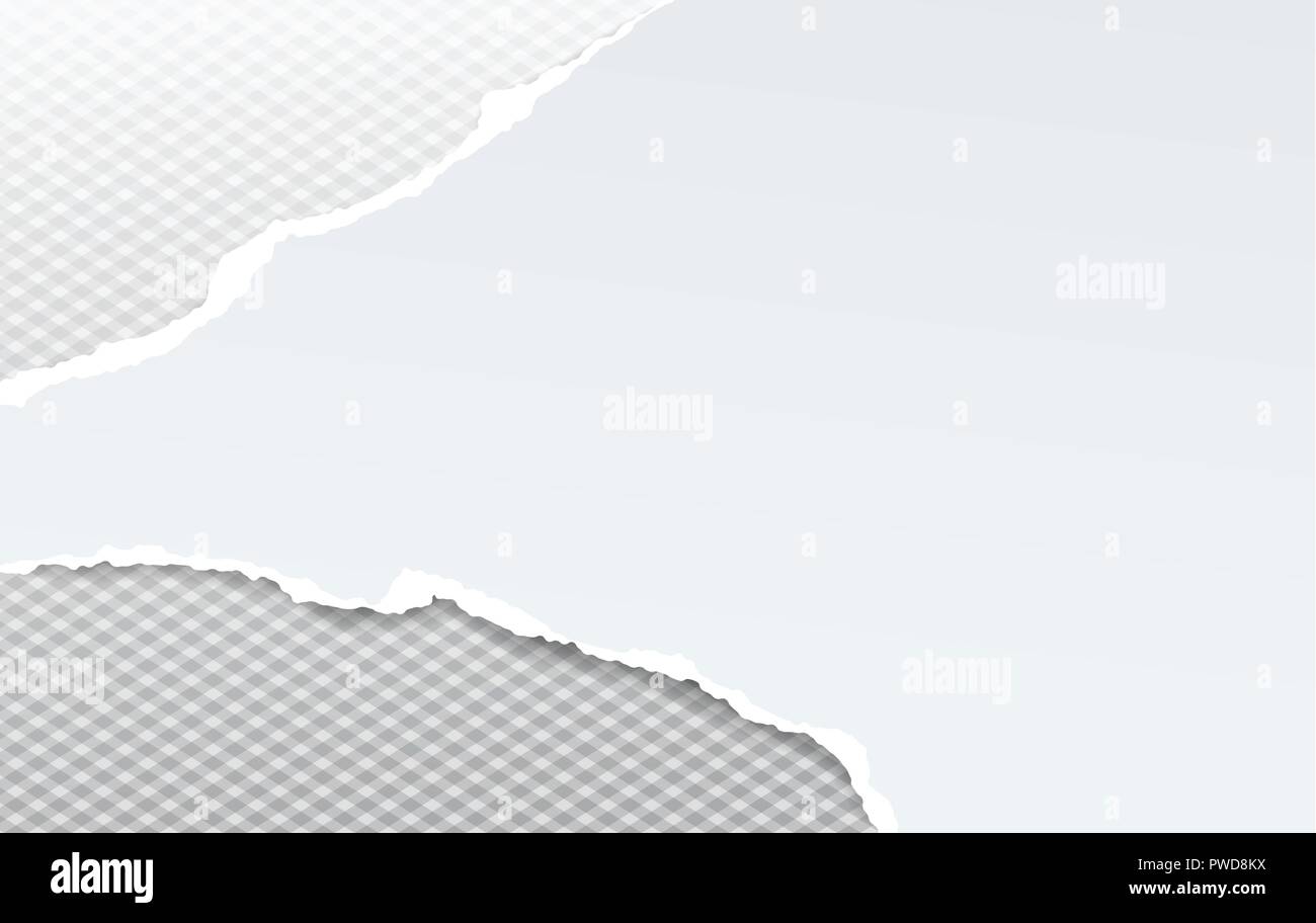 Light blue ripped paper strip for text or message on squared background ...