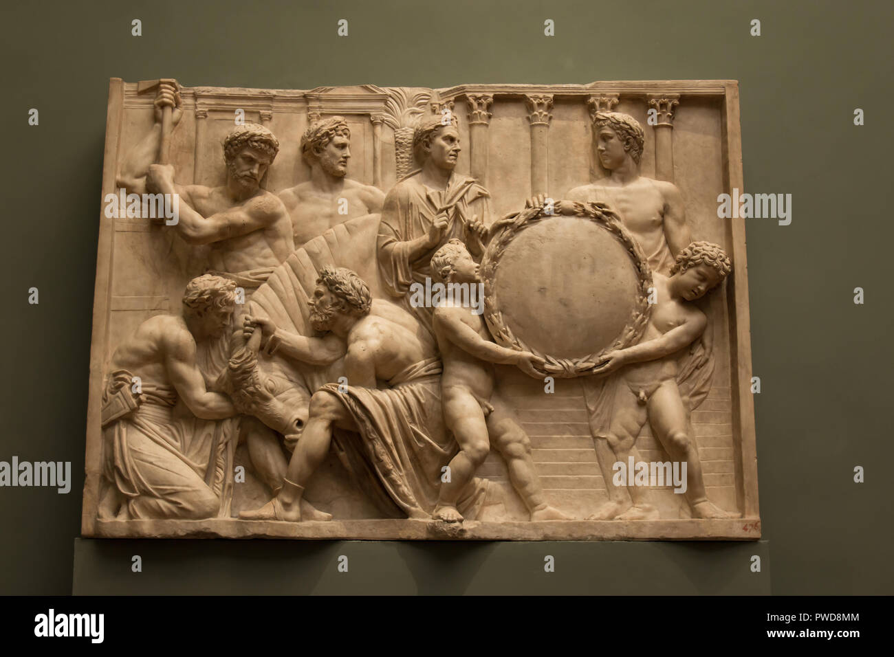 Celebrating wildlife hi-res stock photography and images - Alamy