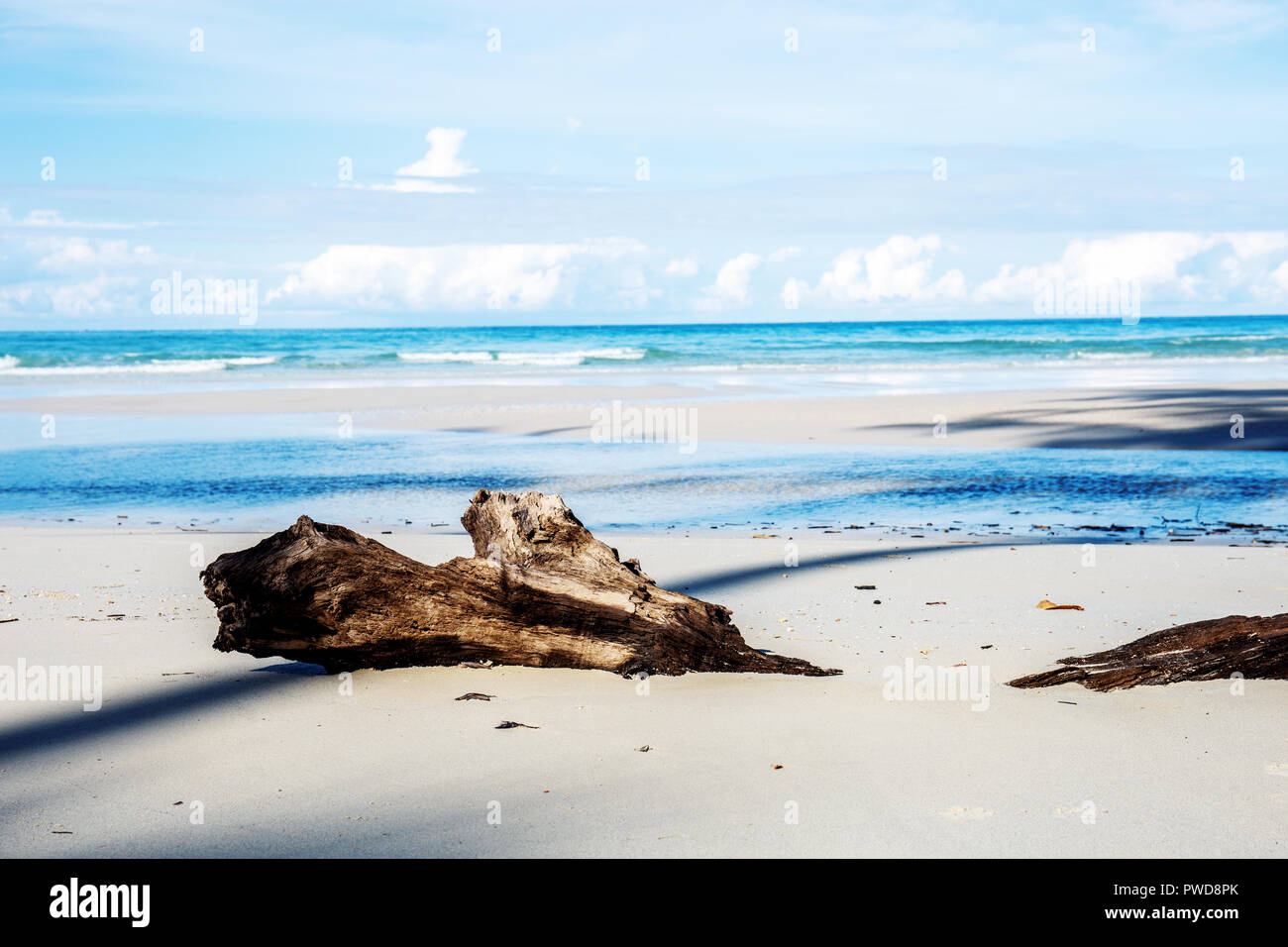 Wood on beach with sunlight at sky Stock Photo - Alamy