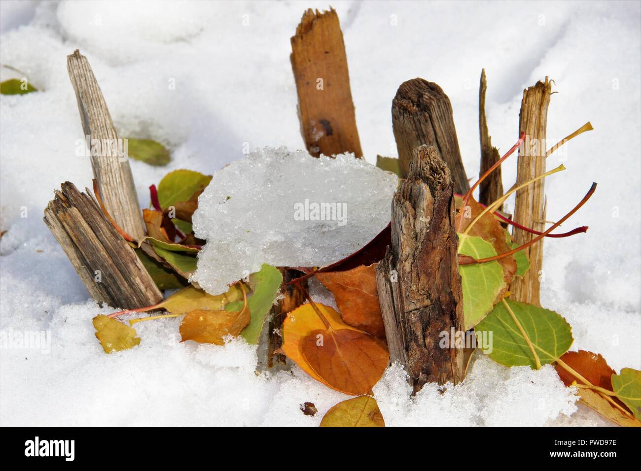 Beauty of mother nature hi-res stock photography and images - Alamy