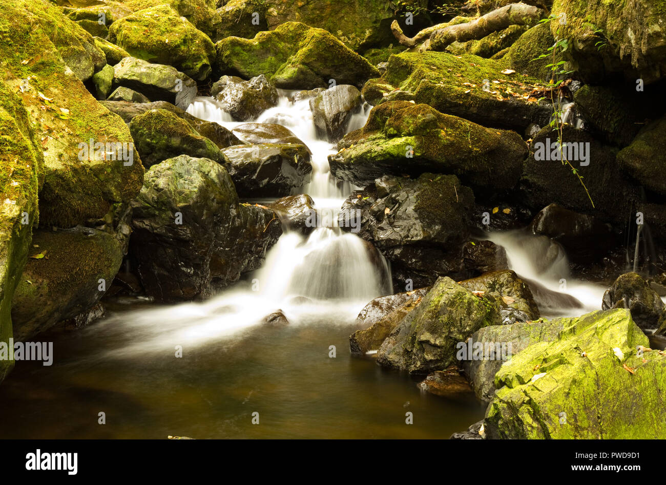 Lodore waterfalls, Lake District UK Stock Photo - Alamy
