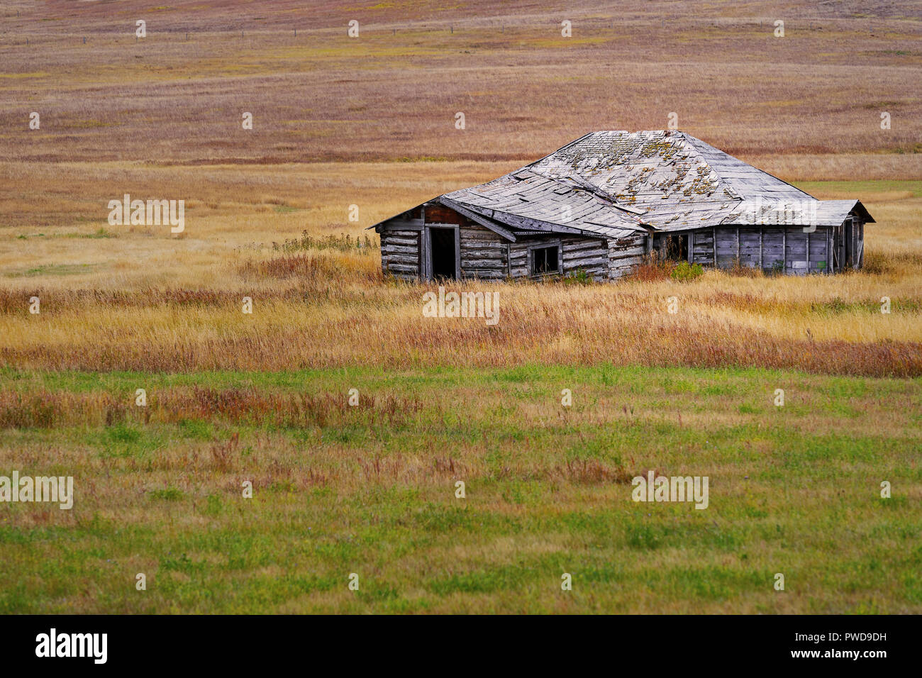 Canadian prairie farm house hi-res stock photography and images - Alamy
