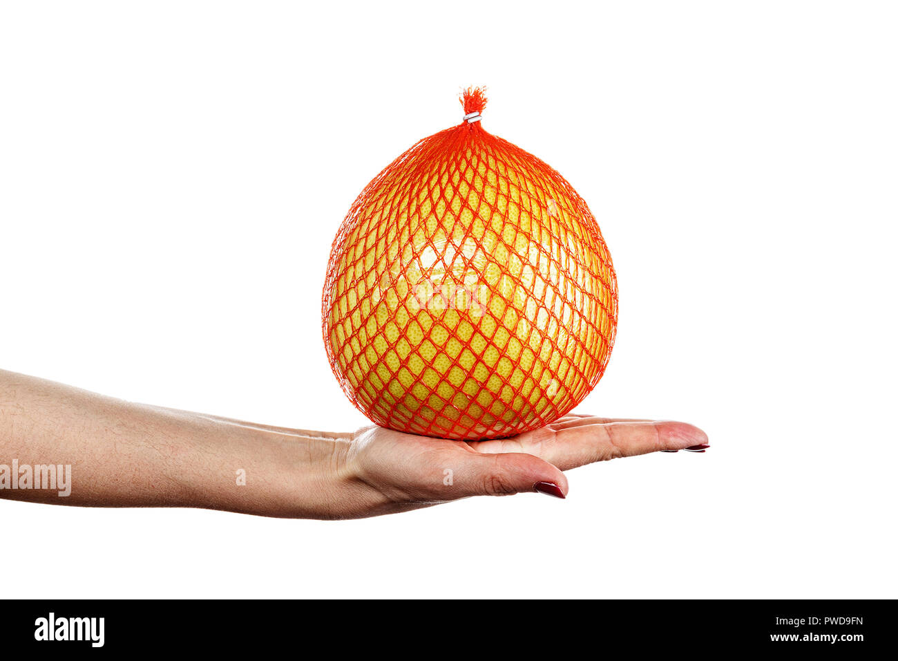 whole citrus pomelo in a grid in a female hand on a white background ...