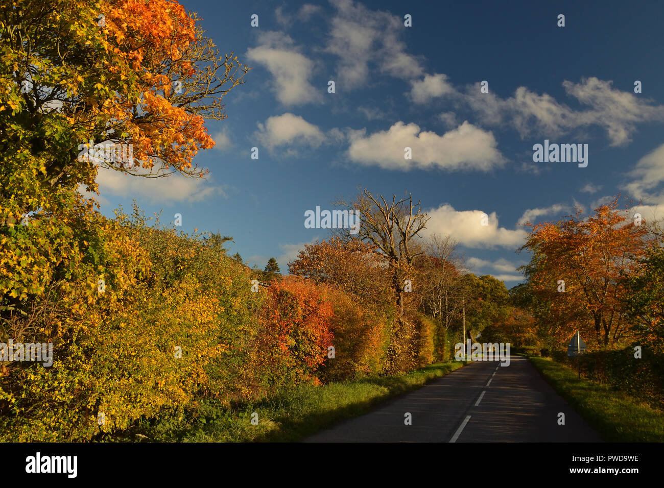 Rogart hi-res stock photography and images - Alamy