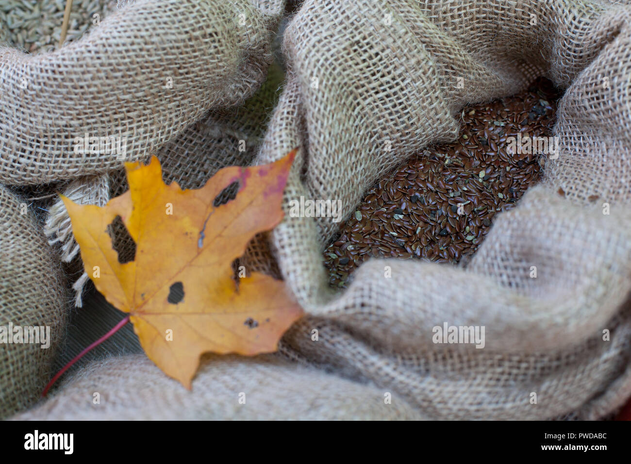 Flax seed bag hi-res stock photography and images - Alamy