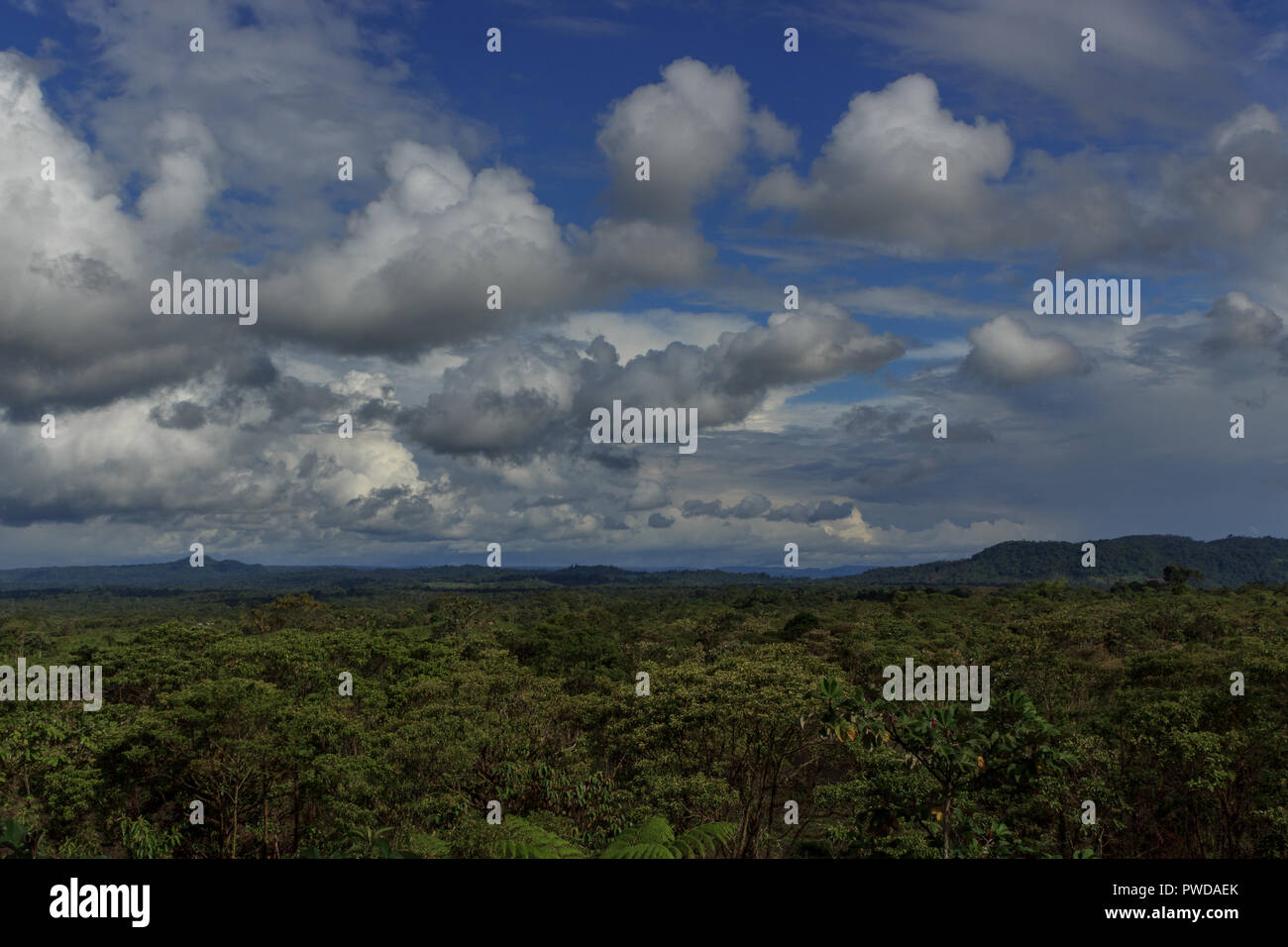 Amazon river basin aerial hi-res stock photography and images - Alamy