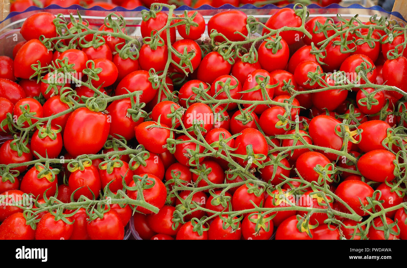 Tomato farmers italy hi-res stock photography and images - Alamy