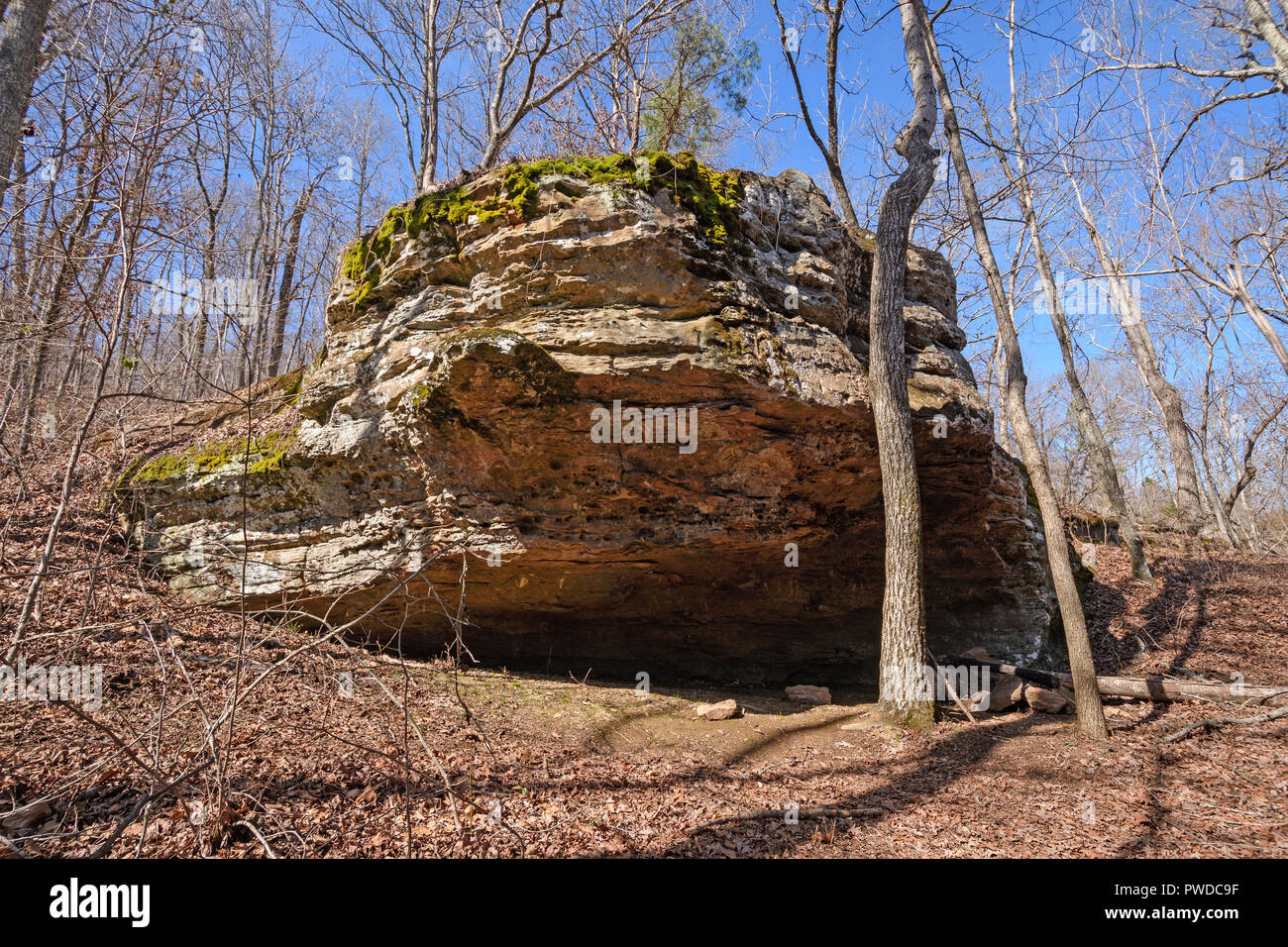 Dramatic Rock in the Wilderness of Ozark National Forest in Arkansas ...