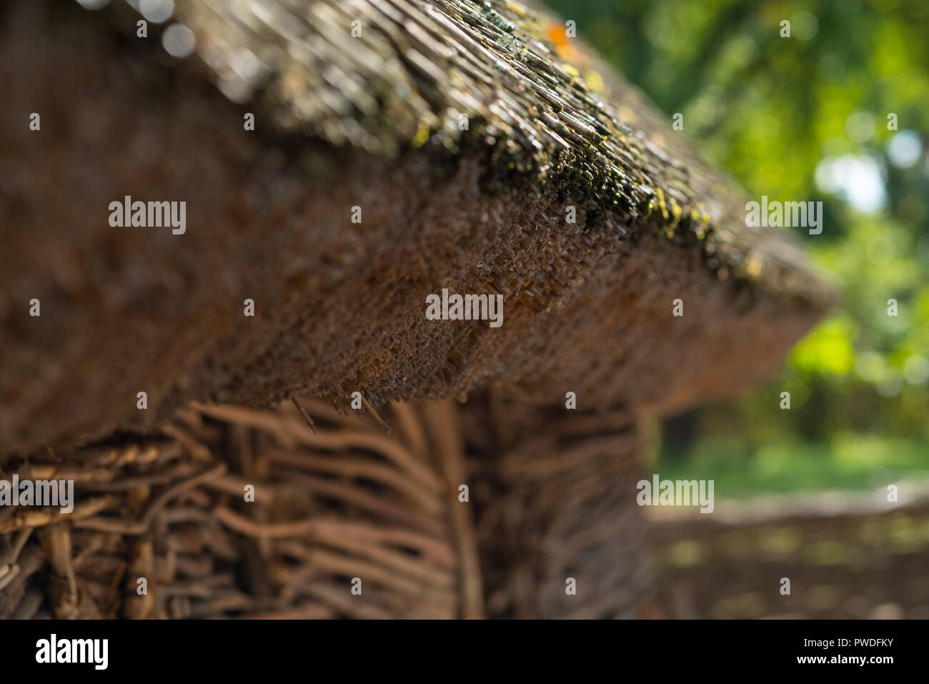 Detail of the thatched roof on a hat with a close up view of the old ...