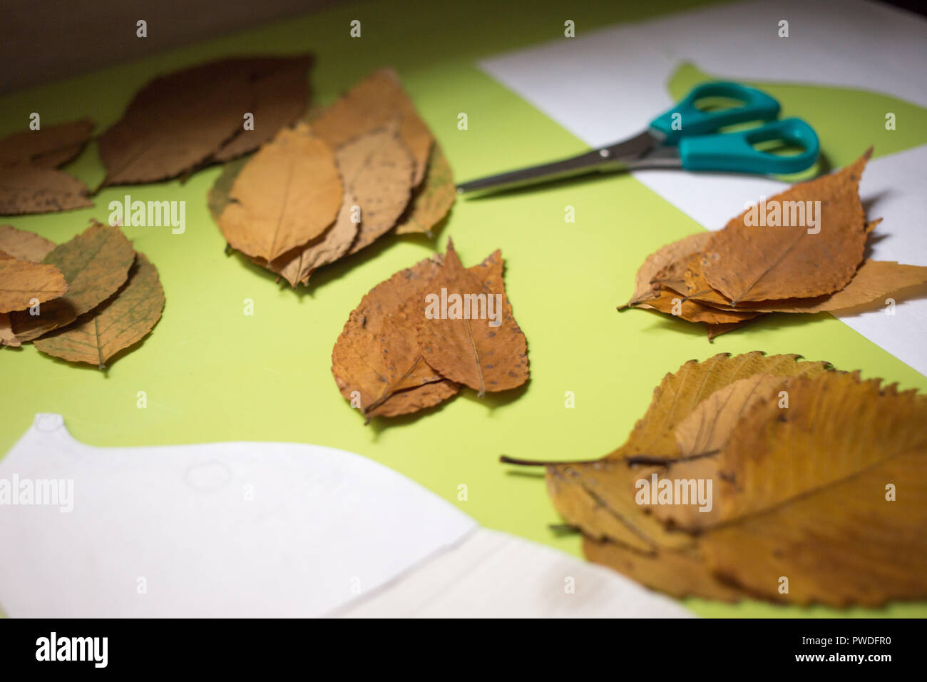 autumn craft with kids. cute hedgehog made of autumn leaves, natural ...