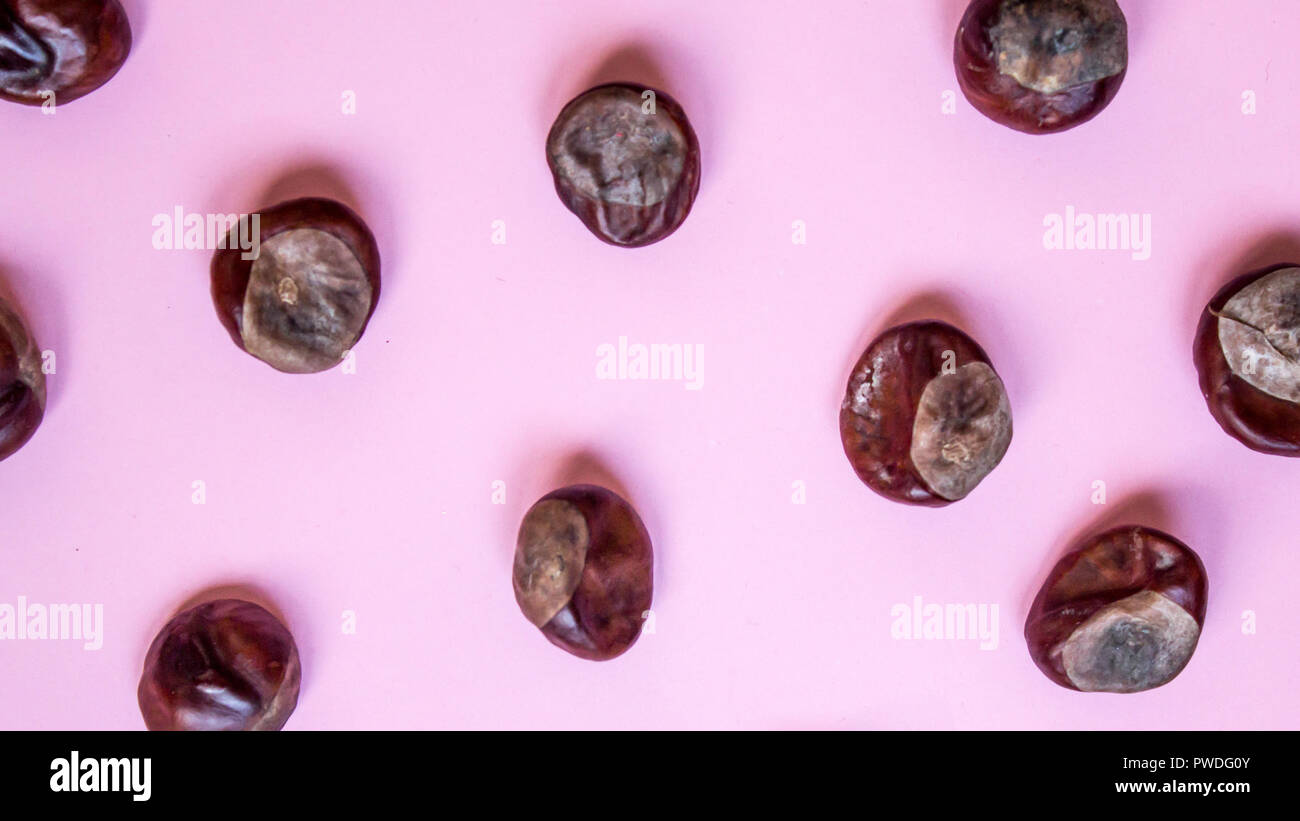 Geometric pattern with chestnut seeds, autumn pink background Stock ...